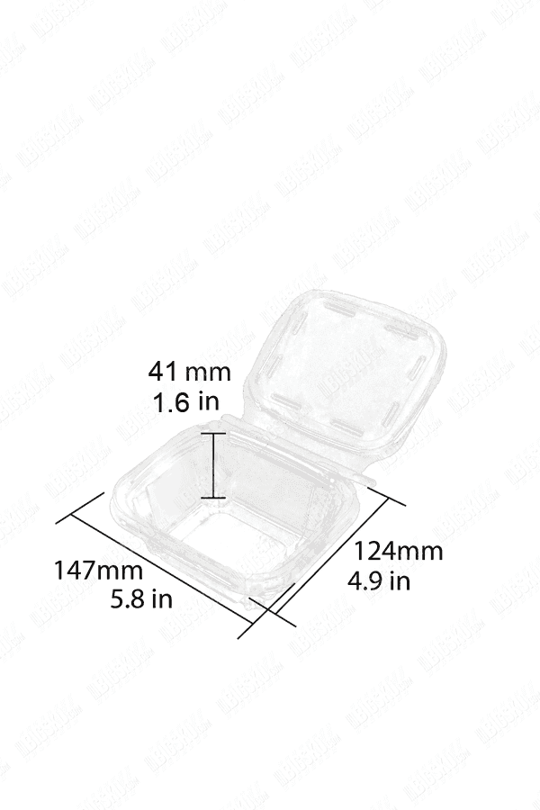 Hinged Anti-Fog Containers With Tamper Evident - 8oz | BIGSKU Canada